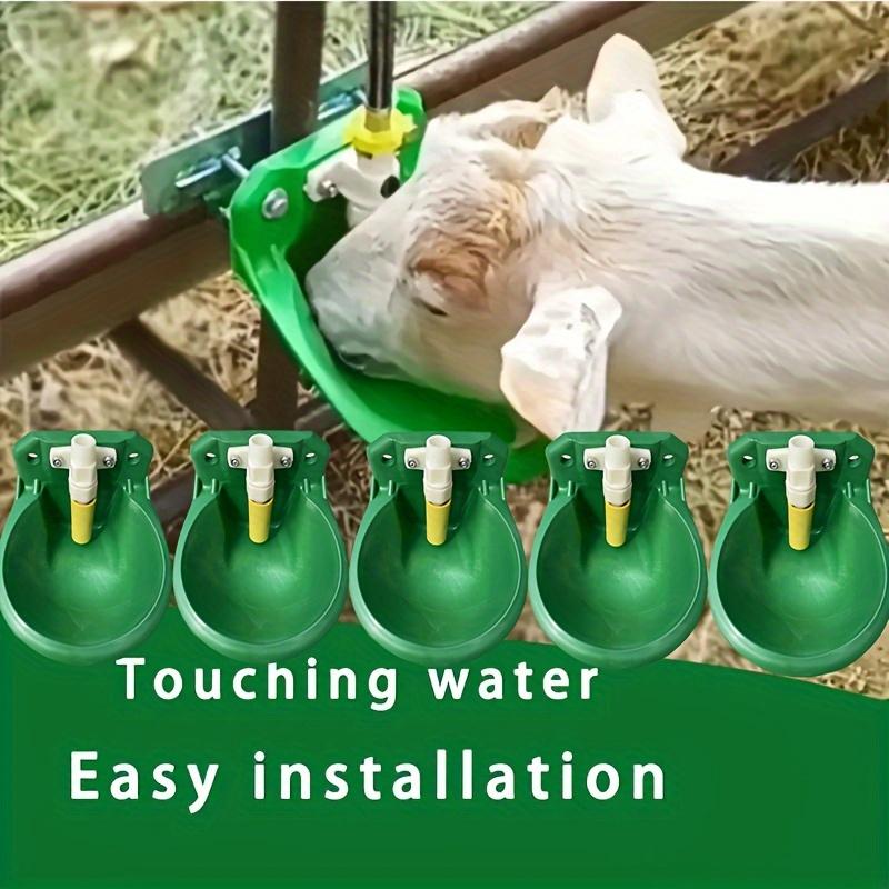 2-in-1 Goat Feeder Small Animal Watering Bowl 1pc/3pcs/5pcs Aquatic ...