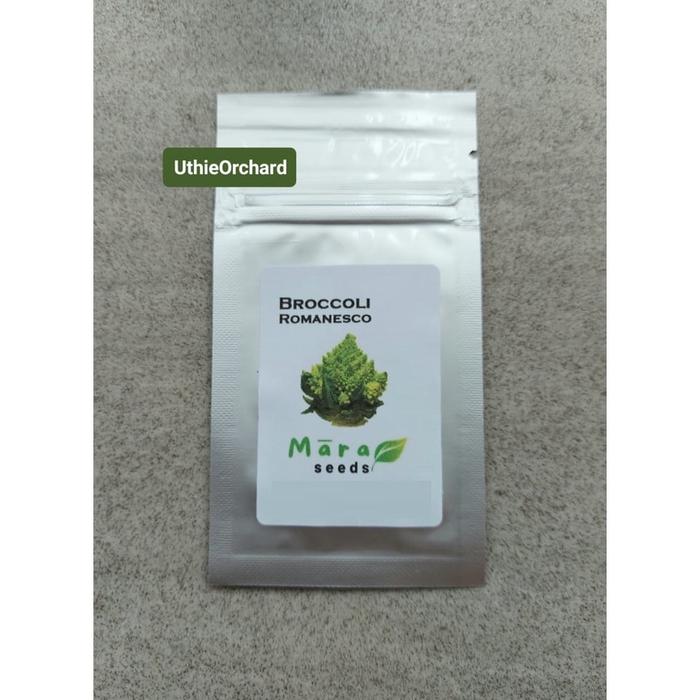 Jual Mara Seeds - Broccoli (Brokoli) Romanesco (125 Seeds) - Kota ...
