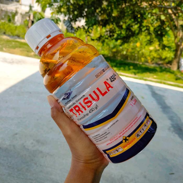 Promo Insektisida Trisula 450 SL 1 liter Hama pada Tanaman Padi - Kab ...