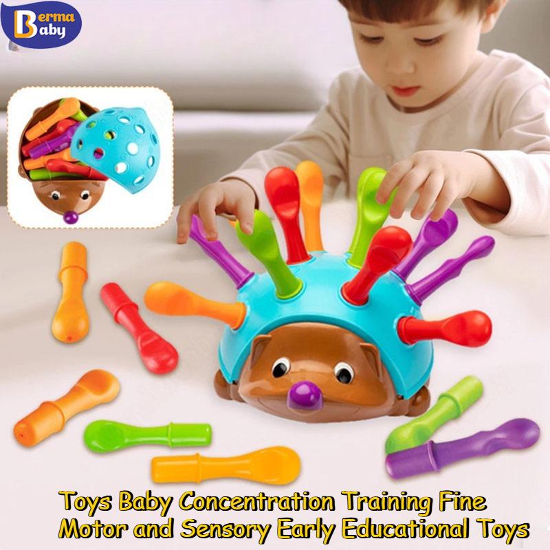 Mainan Sensorik Bayi Mainan Edukasi Landak Untuk Bayi Hedgehog Match ...