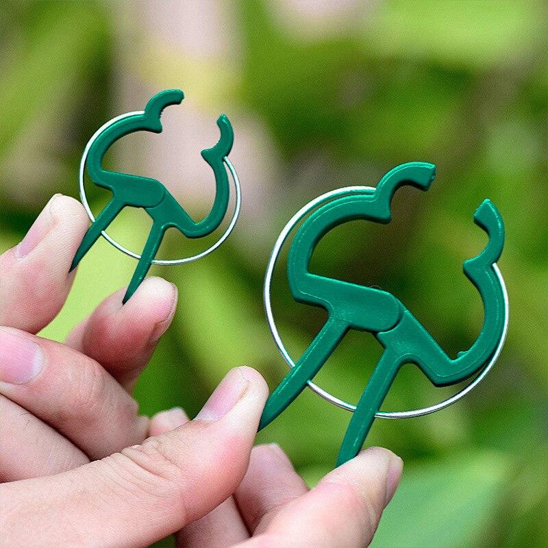 Green Garden Clip 20 Pcs/Pack Vegetable Rhizome Flower Branc - TikTok ...