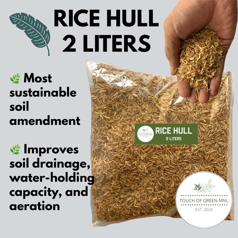 Rice Hull / Rice Husk / Ipa (2Liters) Soil Amendment, Mulching - TikTok ...