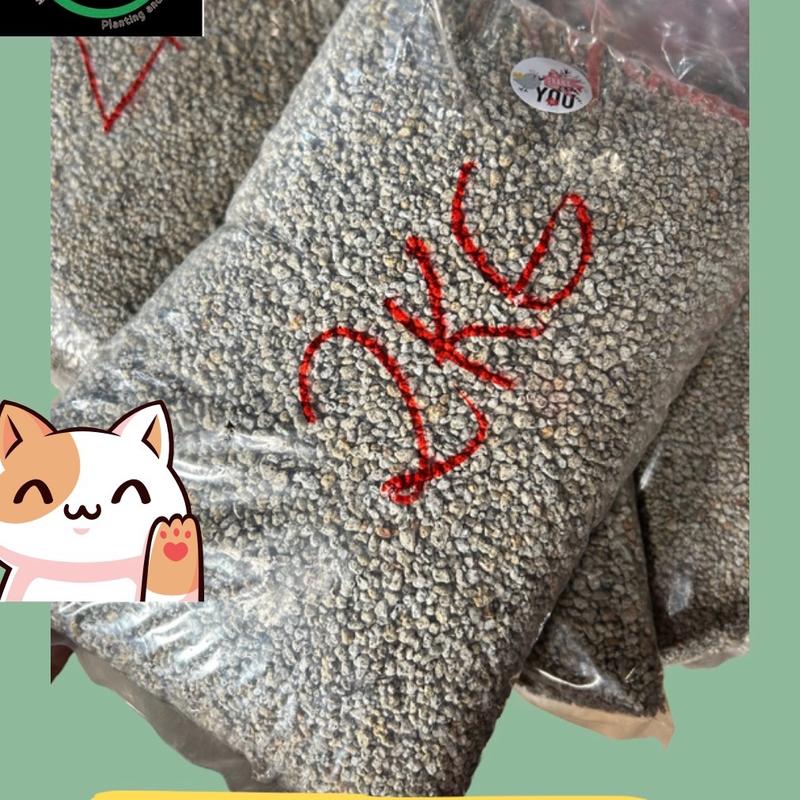 2KG Washable & Reusable Cat Litter Sand Alternative Organic Pumice ...