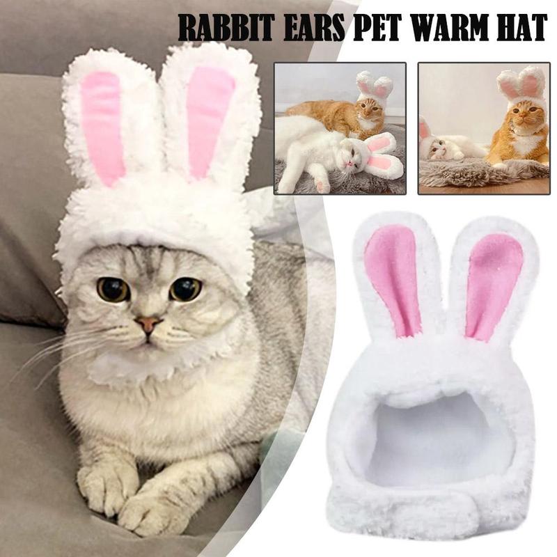 Topi Kucing, Bekalan Haiwan Peliharaan, Set Kepala Kucing Hangat ...
