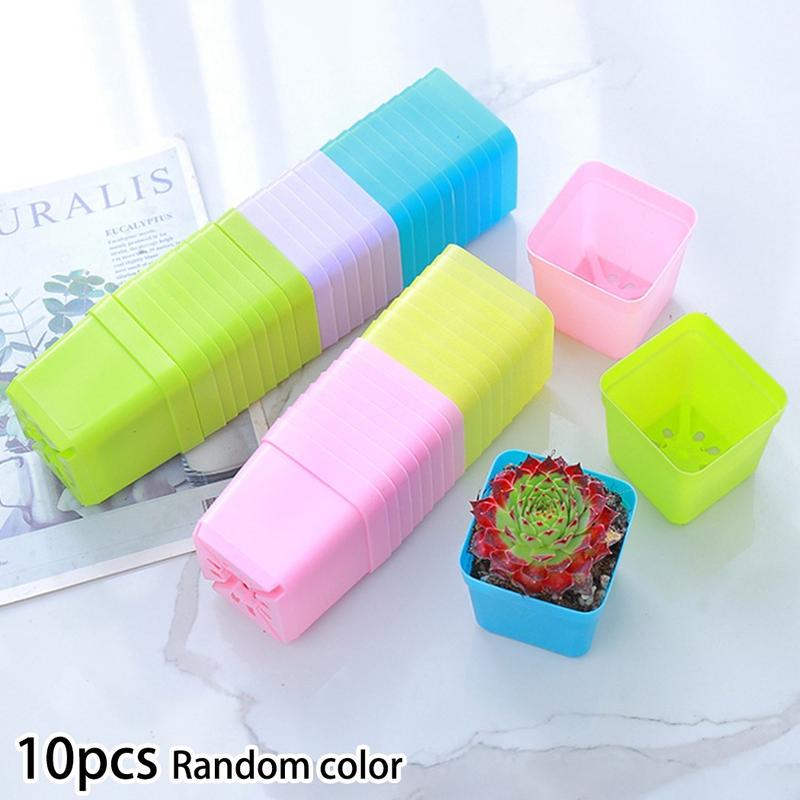 Besen Mini, 10pcs, Pasu Bunga Segi Empat, Sesuai untuk Sukulen - TikTok ...