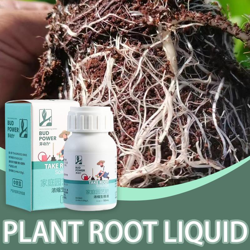 rooting hormone liquid 50 ML Concentrated type from Japan - TikTok Shop ...