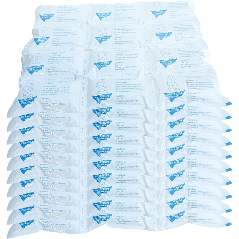 Dry Ice Packs for Shipping Frozen Food Long Lasting, Reusable Cold ...
