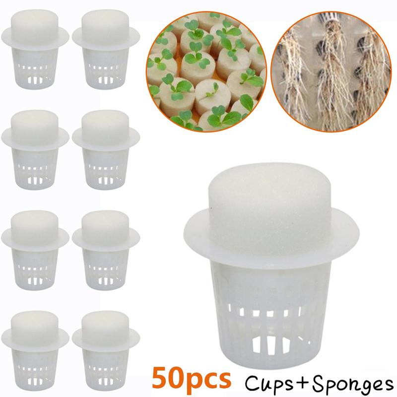 50PCS Plant Net Cup & 50PCS Cylinders Sponge For Hydroponic Plant ...