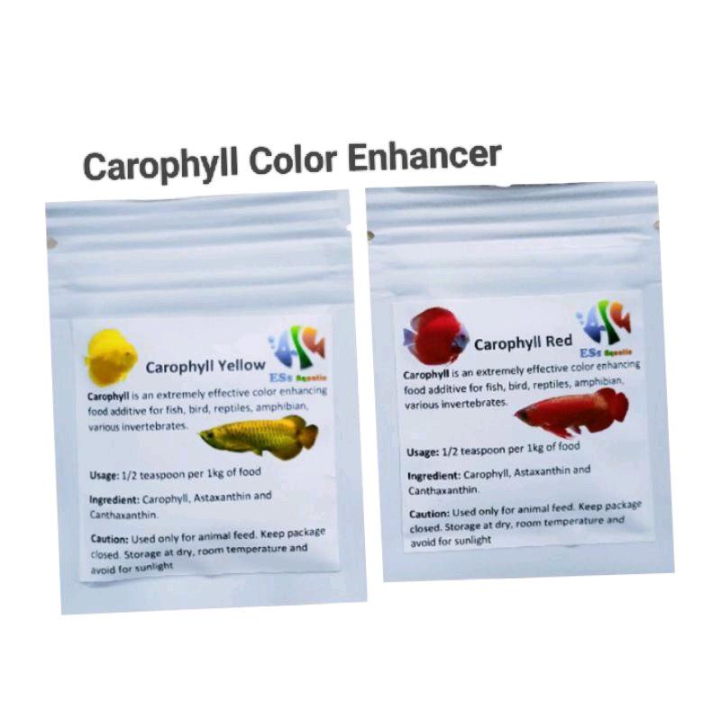 Penaik Warna ikan carophyll Red & Yellow - TikTok Shop Malaysia