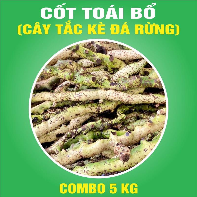Combo 5Kg Cốt Toái Bổ (Cây Tắc Kè Đá Rừng) - TikTok Shop Vietnam