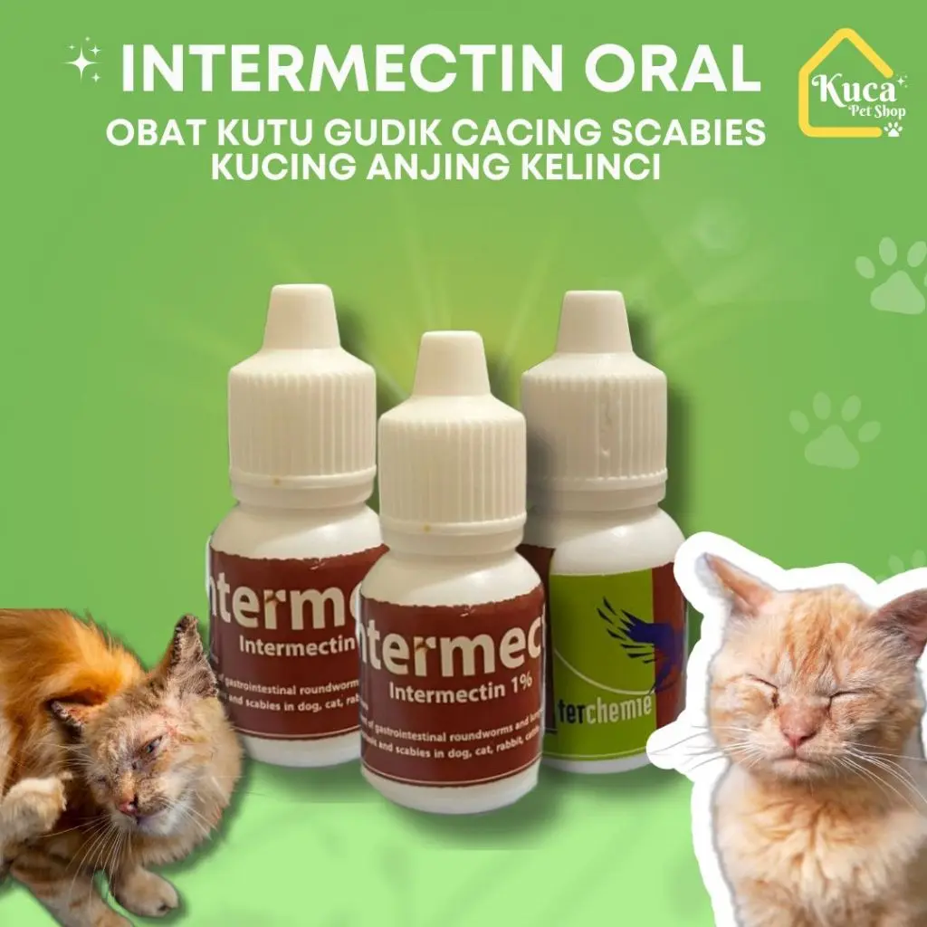 Intermectin Oral 10 Ml Obat Kutu Gatal Gudik Cacing Scabies Kucing ...