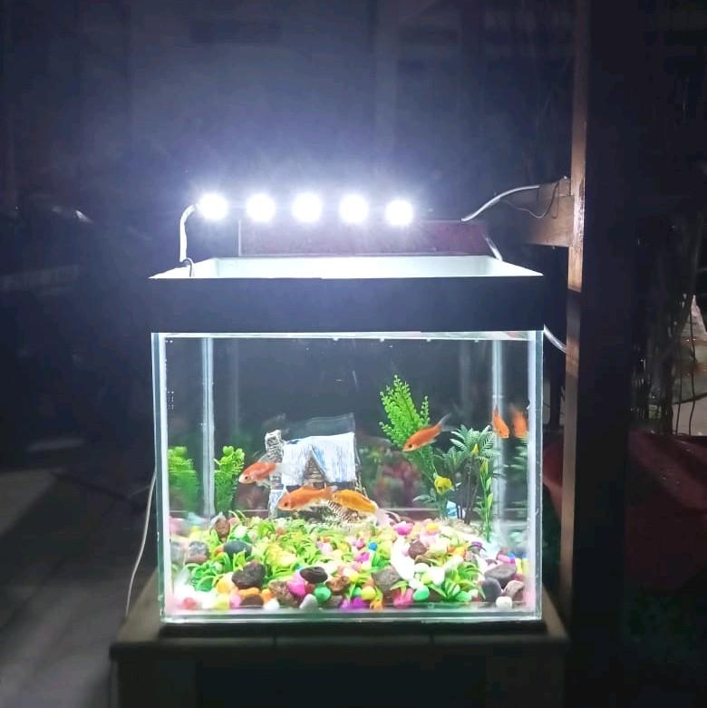 Lampu Aquarium Cupang Kabel USB 5 Volt super terang 21 cm 4 led - Shop ...