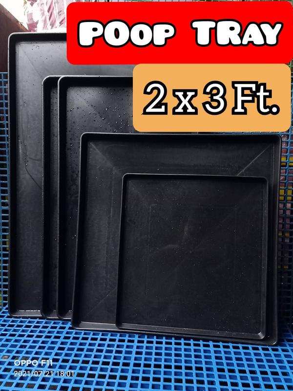 2X3 FT POOP TRAY CAGES AND TRAINING POOP PETS - TikTok Shop Philippines