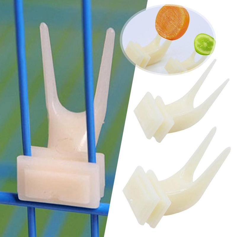 Bird Fruit Fork Parrot Bird Plastic Fork Pet Parrot Toy Bird - TikTok ...