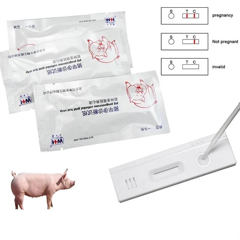 Pig test strips for pregnancy testing, equipment for sow pig - TikTok ...