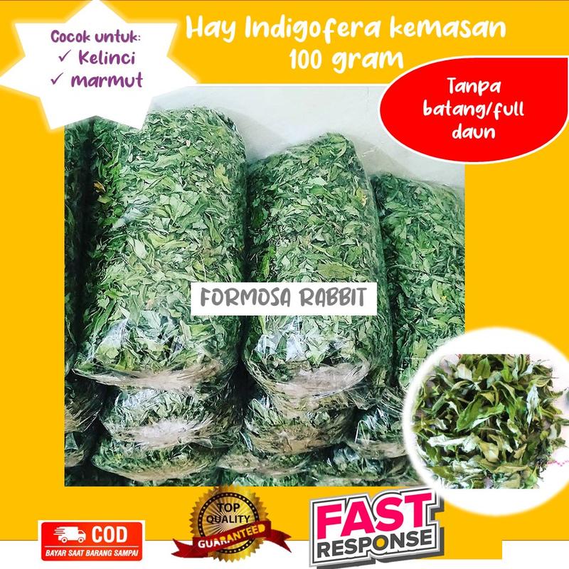 Hay Indigofera Rumput Hay Pakan Kelinci Camilan Kelinci Marmut - Shop ...