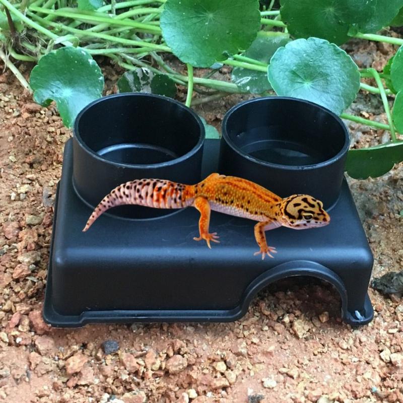 Reptile Terrarium Black Reptile Hide Box Rectangle Plastic Snake ...
