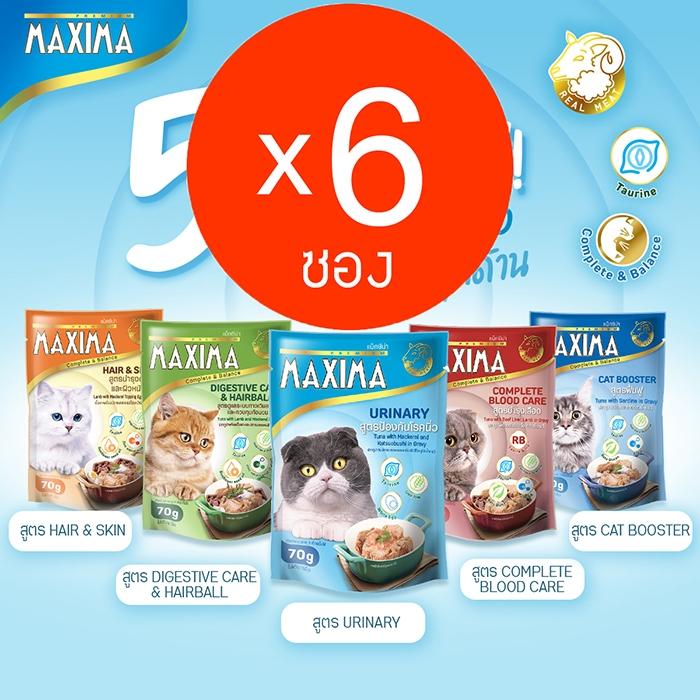 MAXIMA Cat Wet Food Premium Grade 70g อาหารเปียกแมว (6ซอง) - TikTok ...