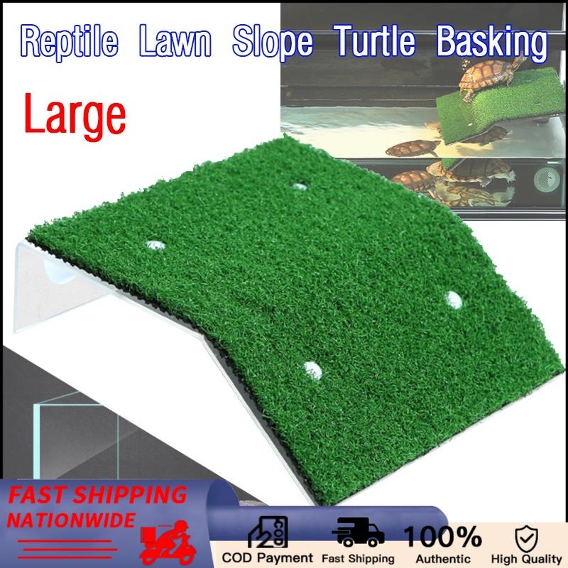 Graceful Turtle Platform Rest Tortoise Climbing Ladder Dryin - TikTok ...