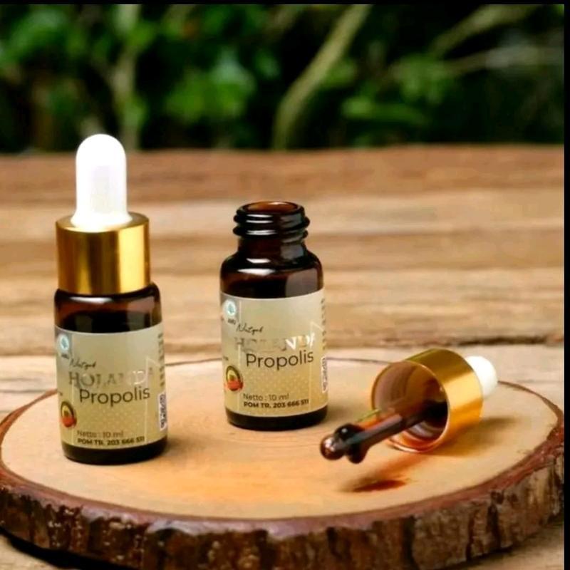 HOLANDA PROPOLIS original - Meningkatkan Daya Tahan Tubuh da - Shop ...