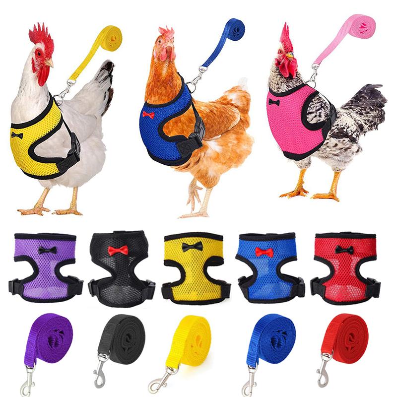 Adjustable Chicken Harness Duck Vest Hen Belt Pet Harness Matching ...