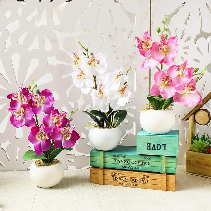 Phalaenopsis Tiruan berwarna, Bunga Simulasi, Orkid Rama-ram - TikTok ...