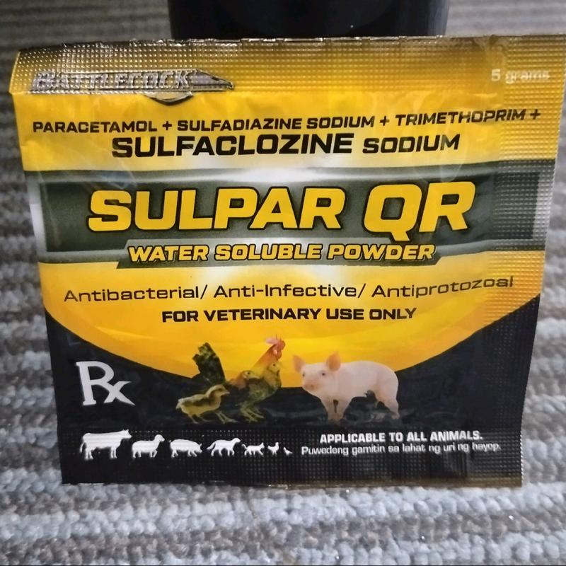 Sulfar QR Powder (sold Per 1 sachet ) - TikTok Shop Philippines