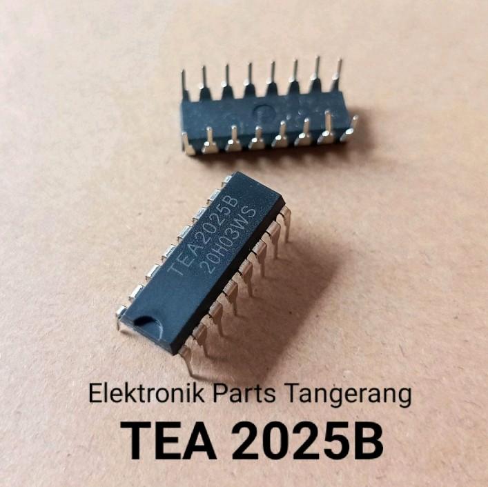 TEA 2025 TEA 2025B TEA 2025 B TEA2025B Amplifier stereo audi - Shop | Tokopedia