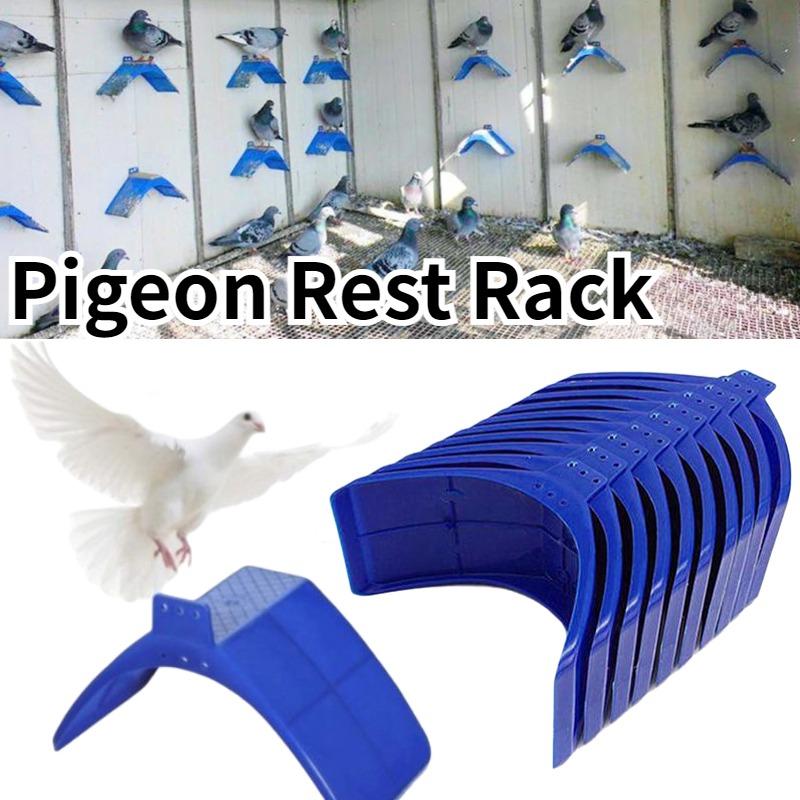 5/10 PCS Pigeon Resting Bird Pets Pets Pigeon Residential Shelf ...