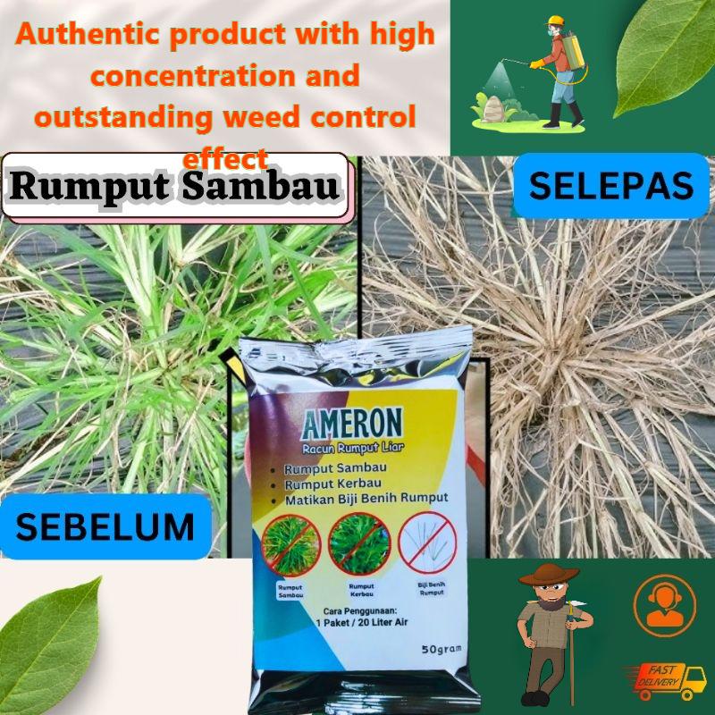 Ameron Ametryn Racun Rumput Sambau Power Racun Rumput Sembau - TikTok ...