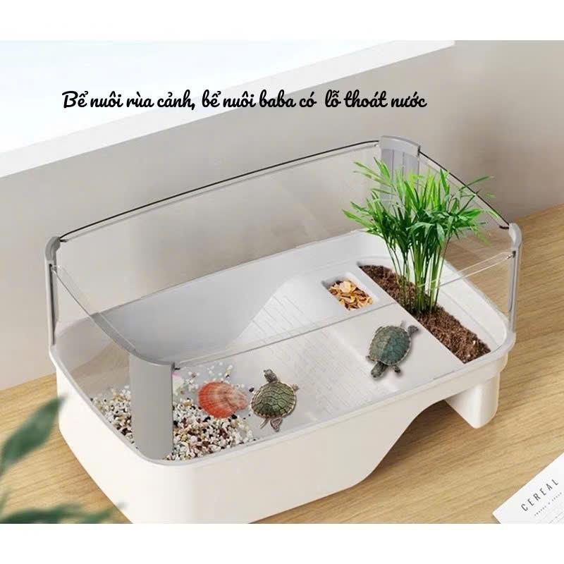 Bể nuôi rùa , bể nuôi baba kích thước lớn. Bể nuôi rùa - TikTok Shop ...