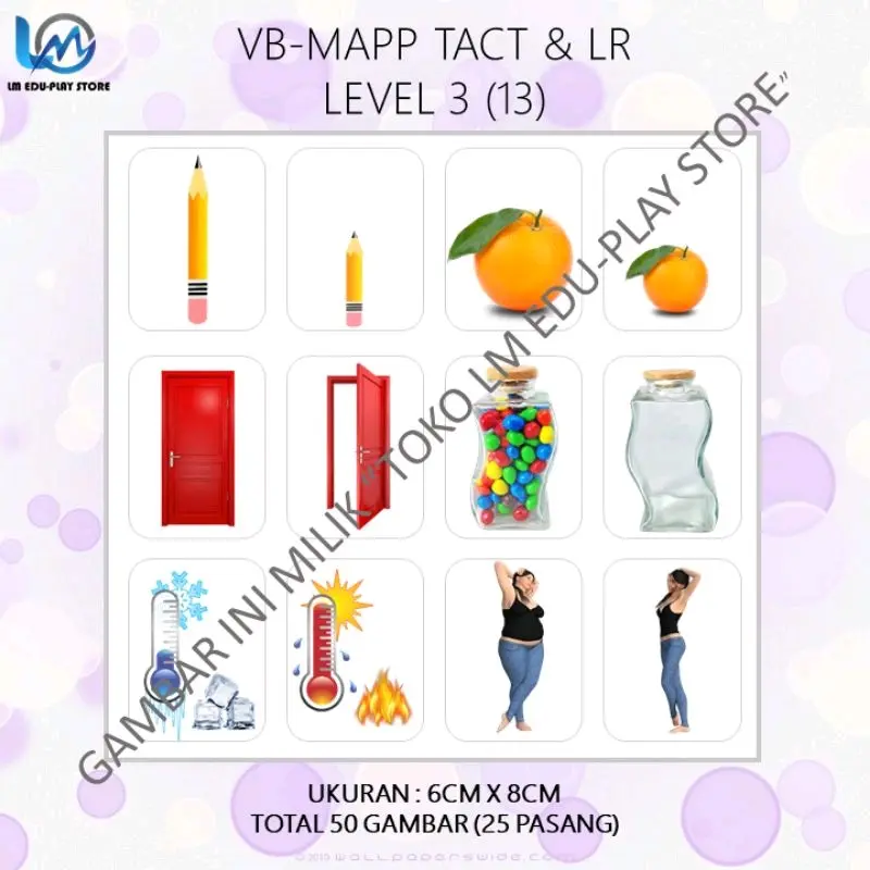 FLASHCARD ABA VB-MAPP - Tact & LR 3 (13) - Shop | Tokopedia