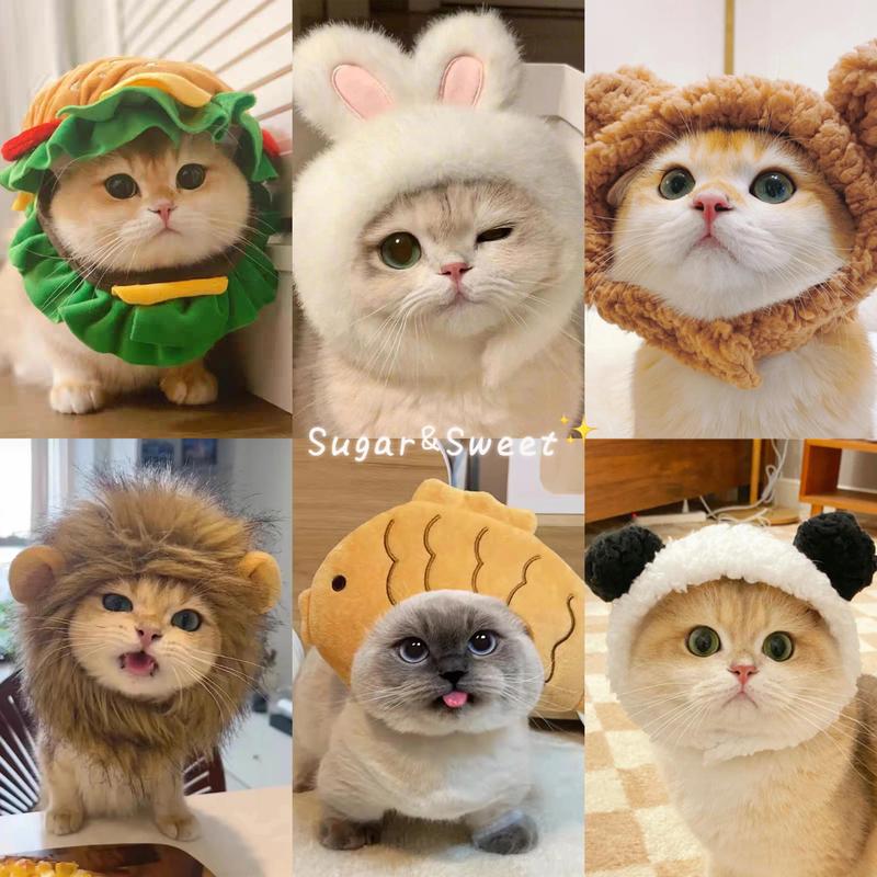 Cute Refined Cat Hat Plush Elastic Winter Pet Hat Puppy Kittens ...