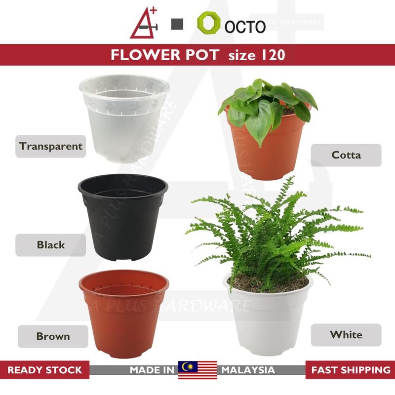 OCTO Flower Pot size 120 (Diameter 12.5cm) Gardening Durable - TikTok ...