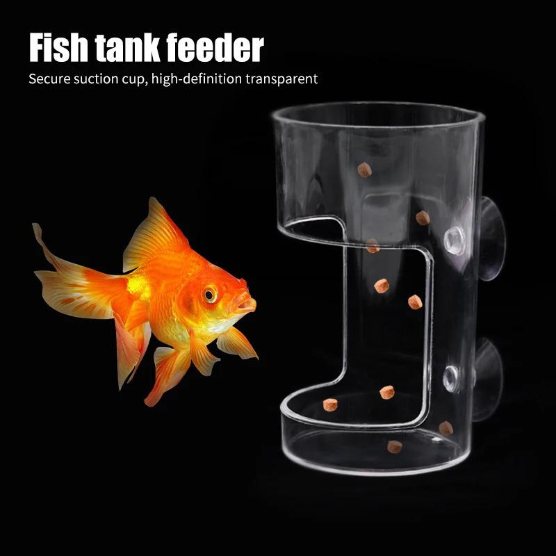 Fish Feeders Aquarium Feeding Ring Floating Food Tray Feeder - TikTok ...