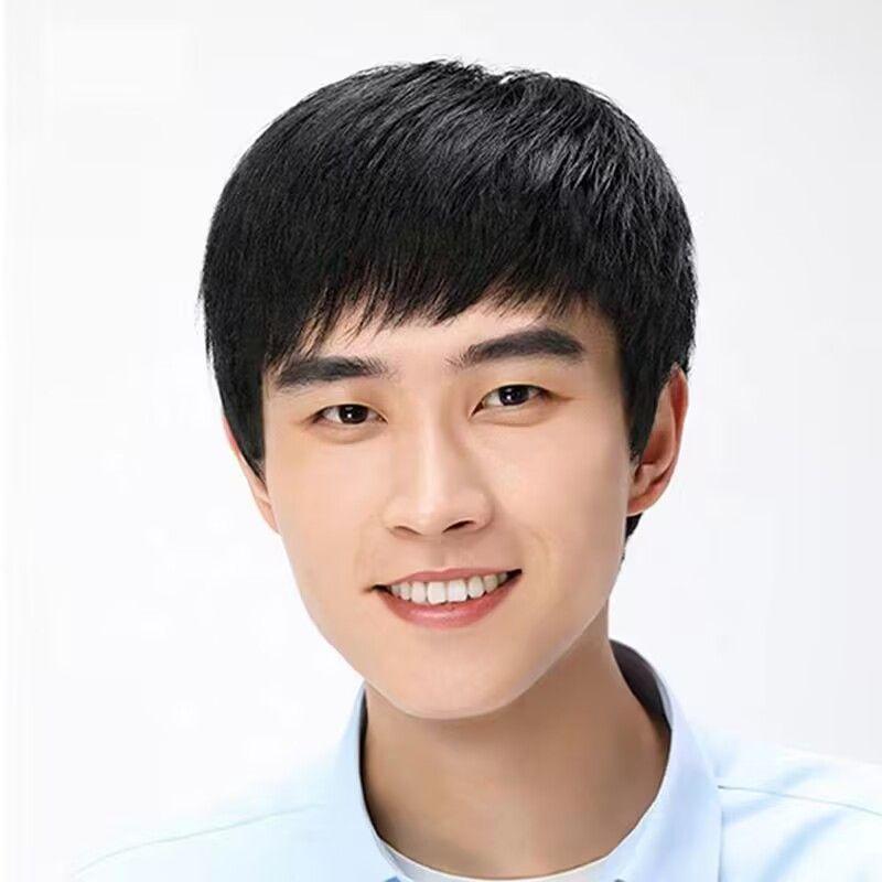 Wig Men's Handsome Full Head Men's Wig Short Wig Sheath Natural ...
