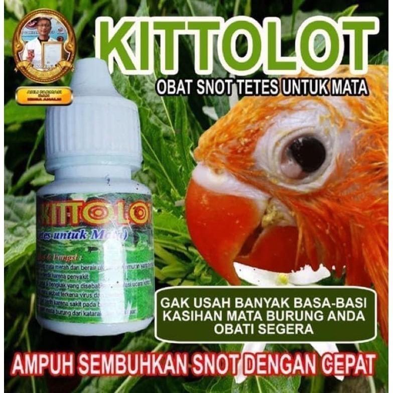 Daun Kitolot 10ml Obat mata katarak obat snot pada burung Mata - Shop ...