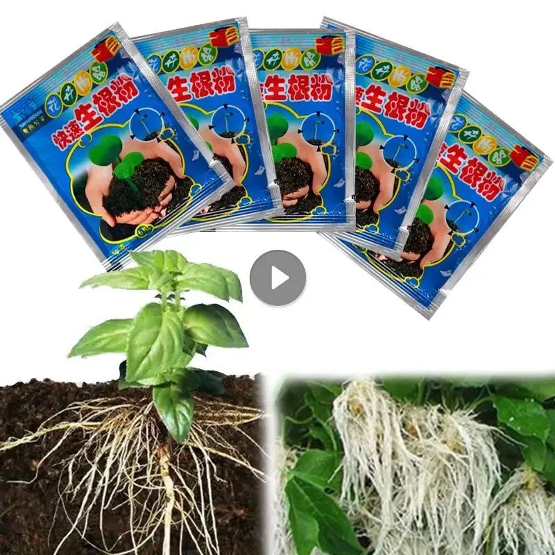 Fast Rooting Powder Plant Rapid Rooting Agent Hormone Growin - TikTok ...