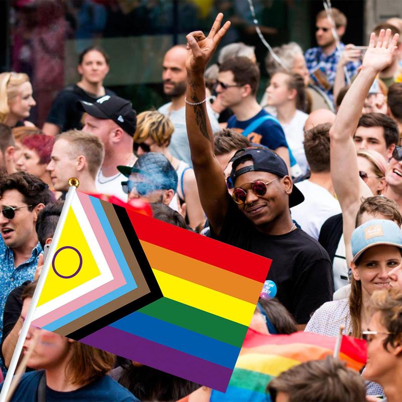 Mini Pride Flag 10pcs Small Progress Pride Flag Hand Hel - TikTok Shop ...