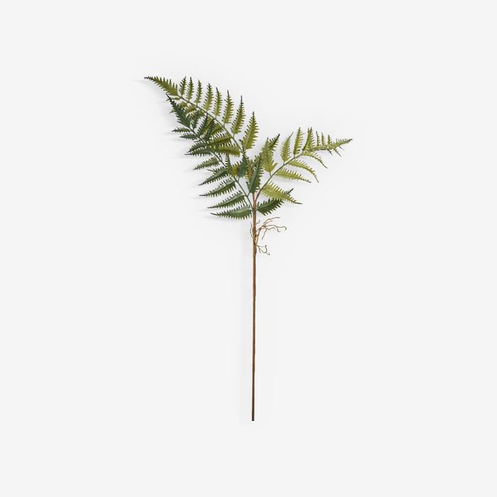 Jual KANA Fern - Bunga Hias / Bunga / Dekorasi Bunga / Artificial ...