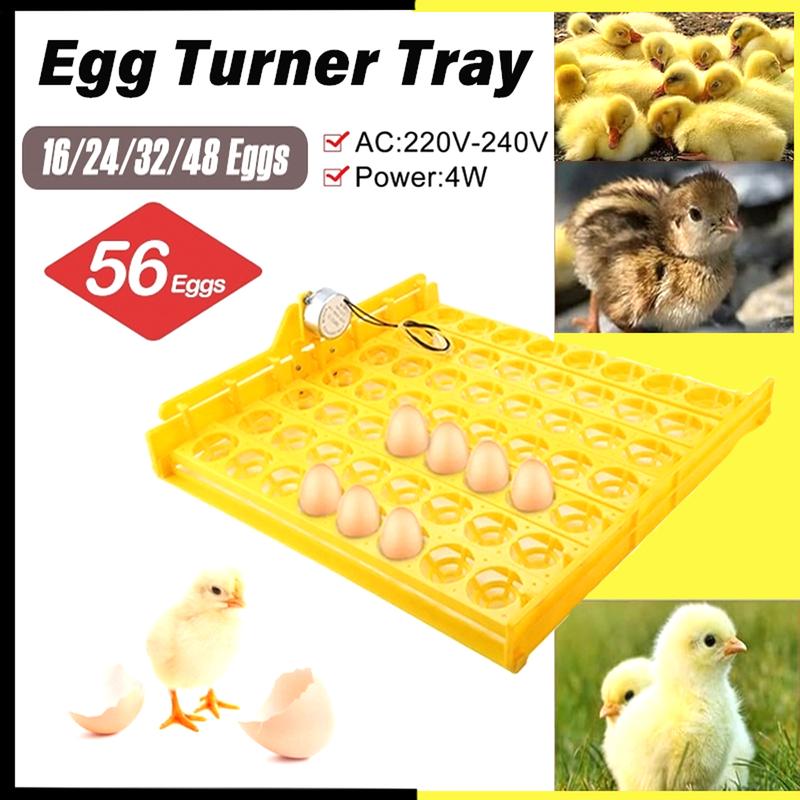 220V 56/48/32/24 Eggs Tray Automatic Incubator Egg Turner Tray - TikTok ...