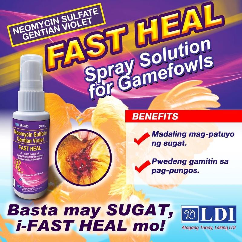 Fast Heal Wound Spray 50ml Spray Solution for Gamefolws para - TikTok ...