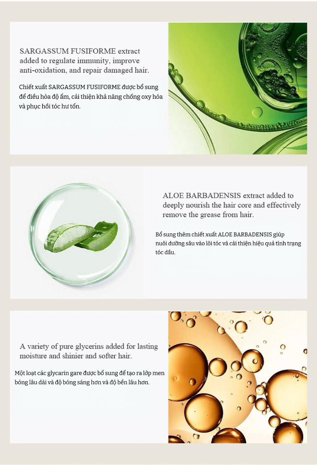 Dầu xả Limancy 500ml - Lá Xanh Thân Thiện Việt Nam