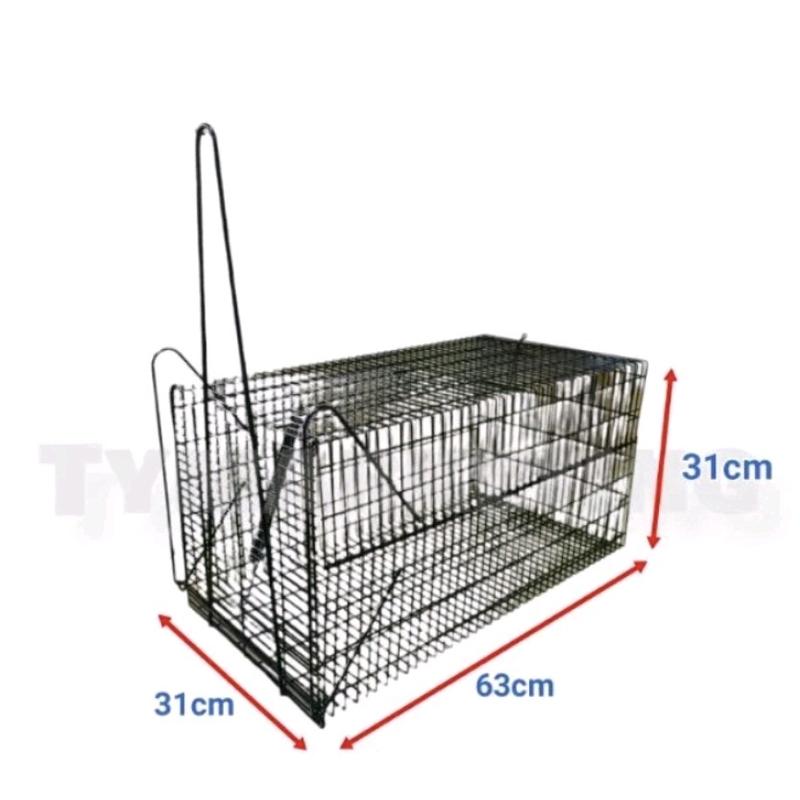 Perangkap Musang Kucing / Musang Cat Squirel Cage Trap for - TikTok ...