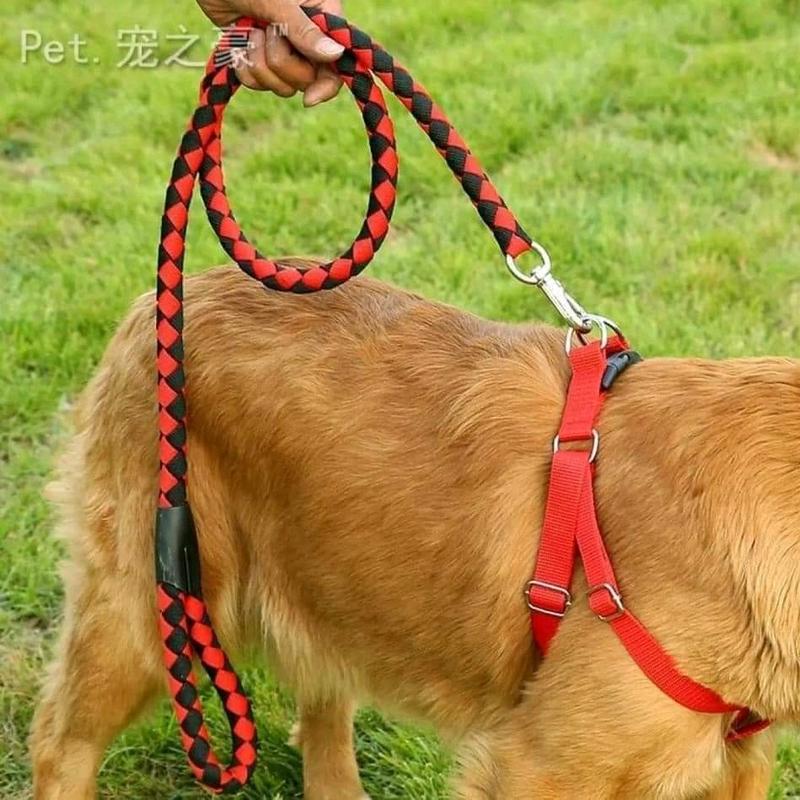 PET ADJUSTABLE LEASH FOR DOGS (TALI NG ASO) - TikTok Shop Philippines