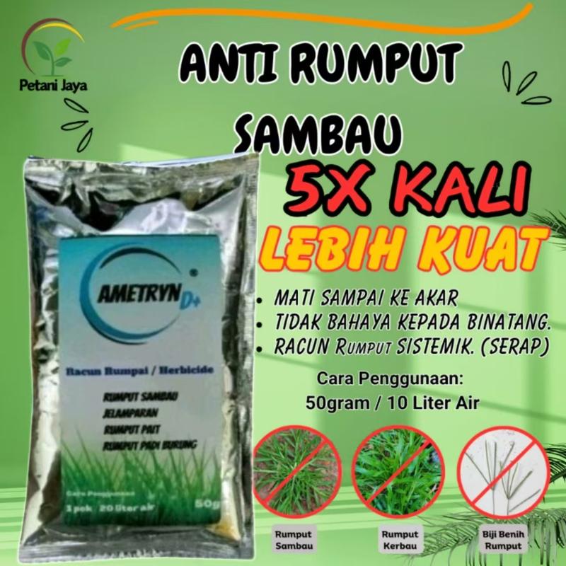 Ametryn D + pesticide sambau similar to Ameron amfine kensapax - TikTok ...