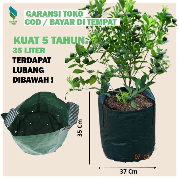 Pot Tanaman Hias Planter Bag Pot Besar Pot Bunga Besar PlanterBag ...