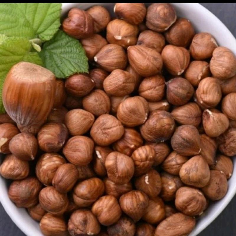 HAZELNUT ROASTED 100gr Rendah gula - Shop | Tokopedia