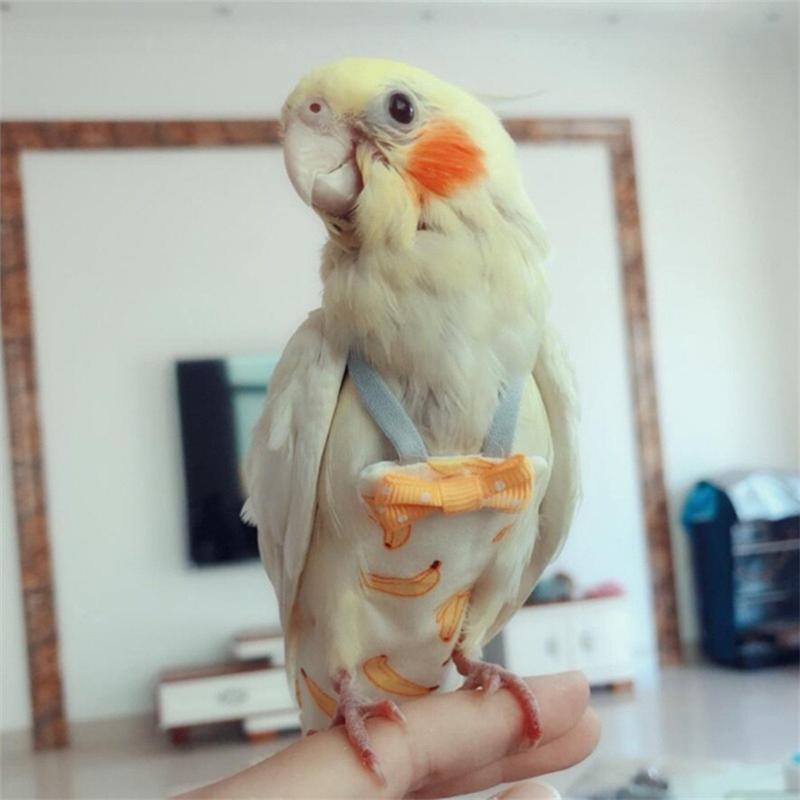 Parrot Baby Diapers for Birds Shit Pocket Bird Clothes Adjustable ...