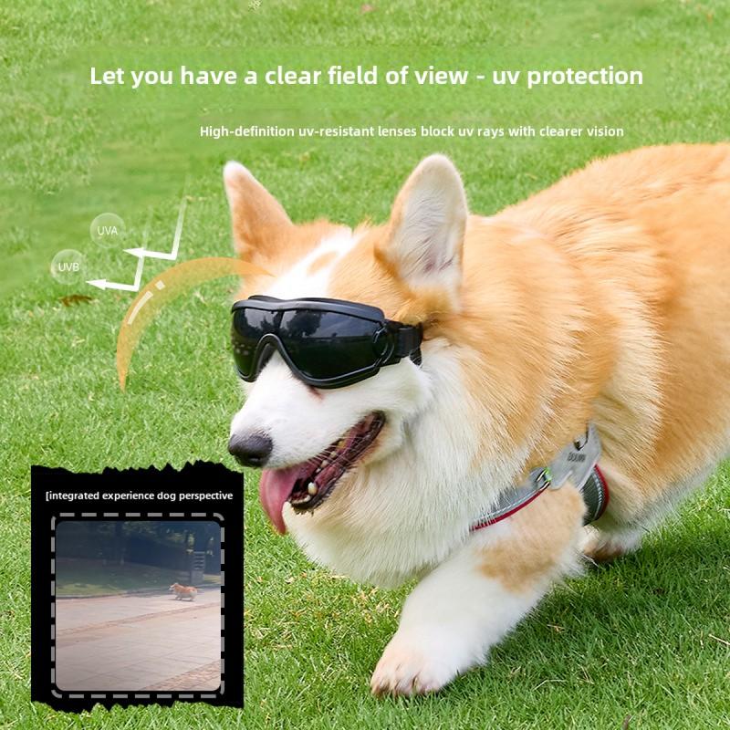 Dog Glasses Pet-Specific Sunglasses Protective Goggles Corgi - TikTok ...